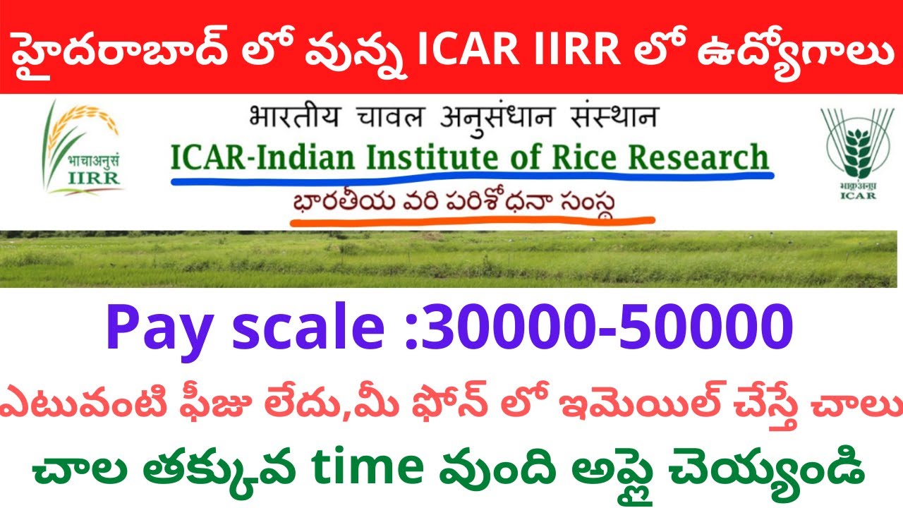 Indian Institute Of Rice Research Recruitment 2021 || IIRR Recruitment ...