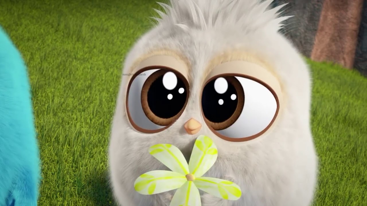 First sight love scene | Angry birds first love WhatsApp status video ...