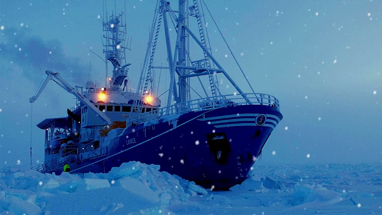 Arctic White Noise - Sounds of Snowstorm & Arctic Ocean, ASMR, Sleep ...