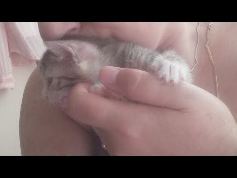 Sevgi neydi!? #emek  #sevgineydi #sevmekzamanı  #sevkardeşim  #sevmeküzerine 🕊️