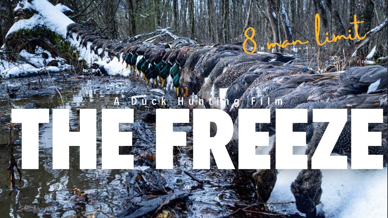 Duck Hunting "The Freeze" | 8 Man limit in the snow and ice - YouTube