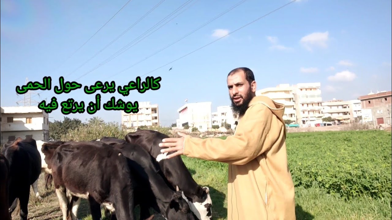 شرح حديثكالراعي يرعى حول الحمى يوشك أن يرتع فيه Youtube