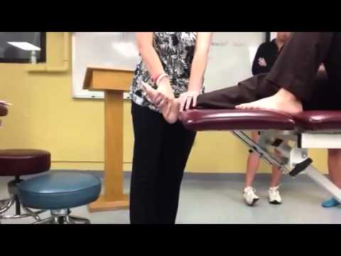 Talocrural Joint Posterior Glide (Supine) - YouTube