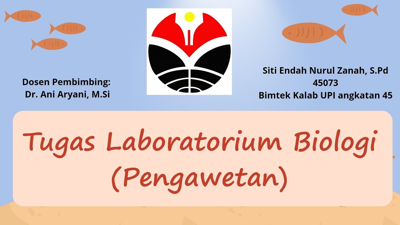Pembuatan Awetan Basah Hewan - YouTube