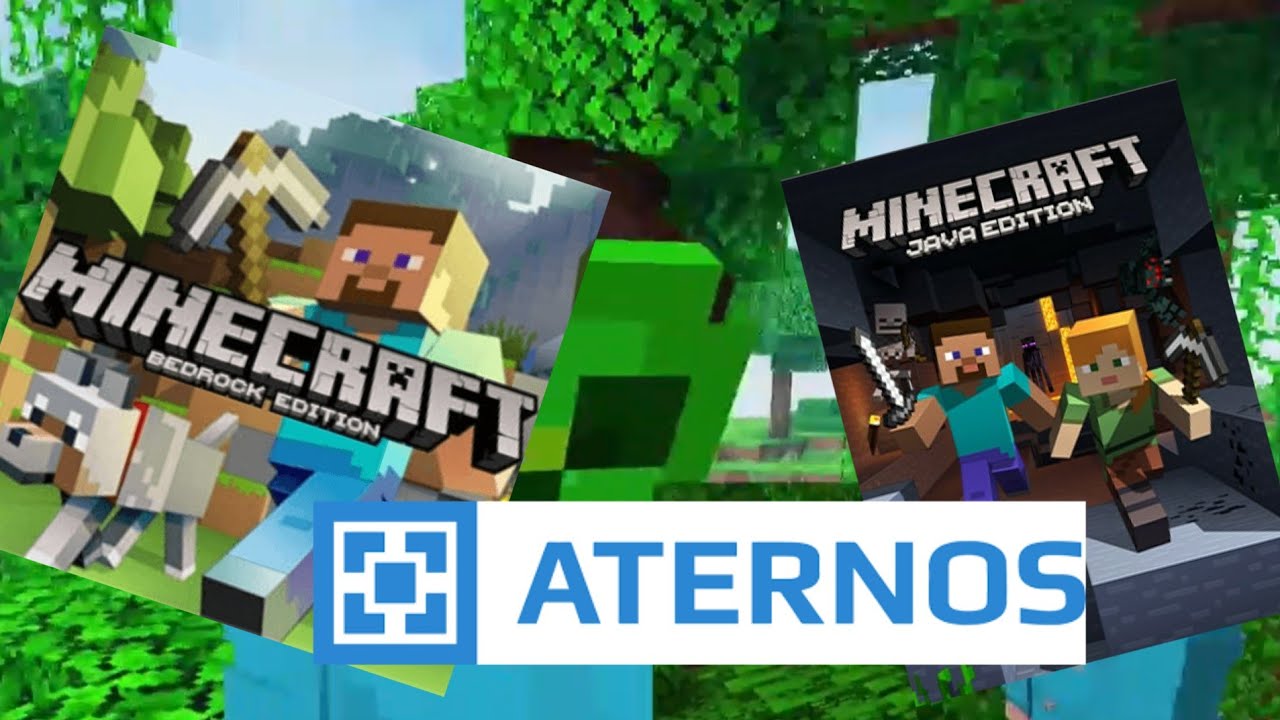 como jugar minecraft con tus amigos de java y bedrock en un mismo lugar - YouTube