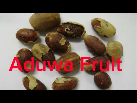 Aduwa fruit will wow your imagination! - YouTube