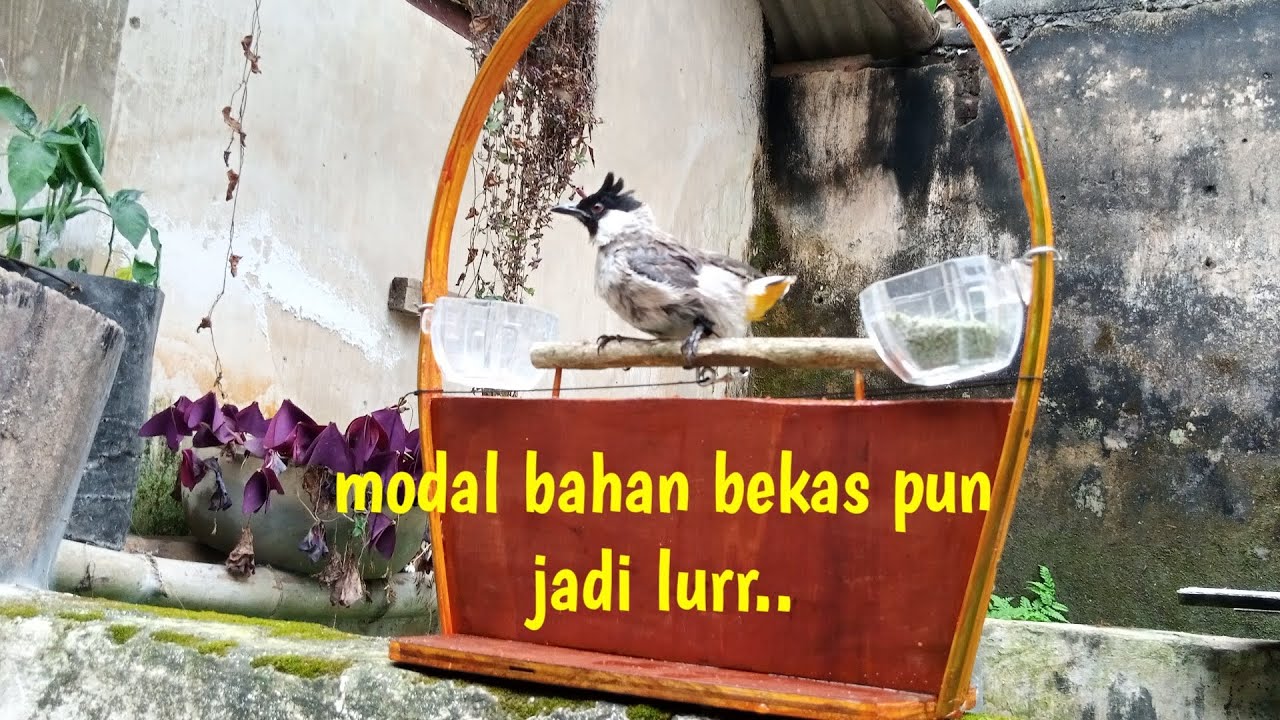 Sangkar Layang burung kutilang model searah. - YouTube