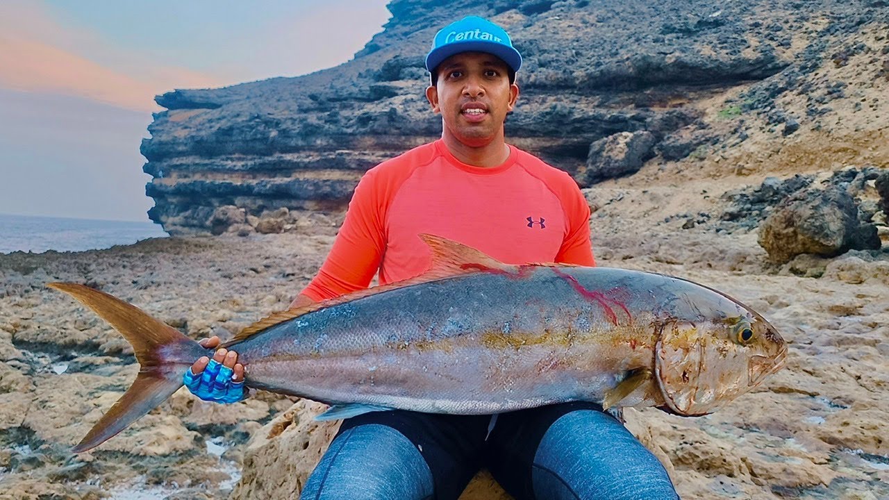 Monster Amberjack(kingfish) Caught from the cliff - YouTube