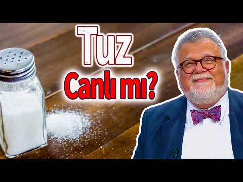 Celâl Şengör \