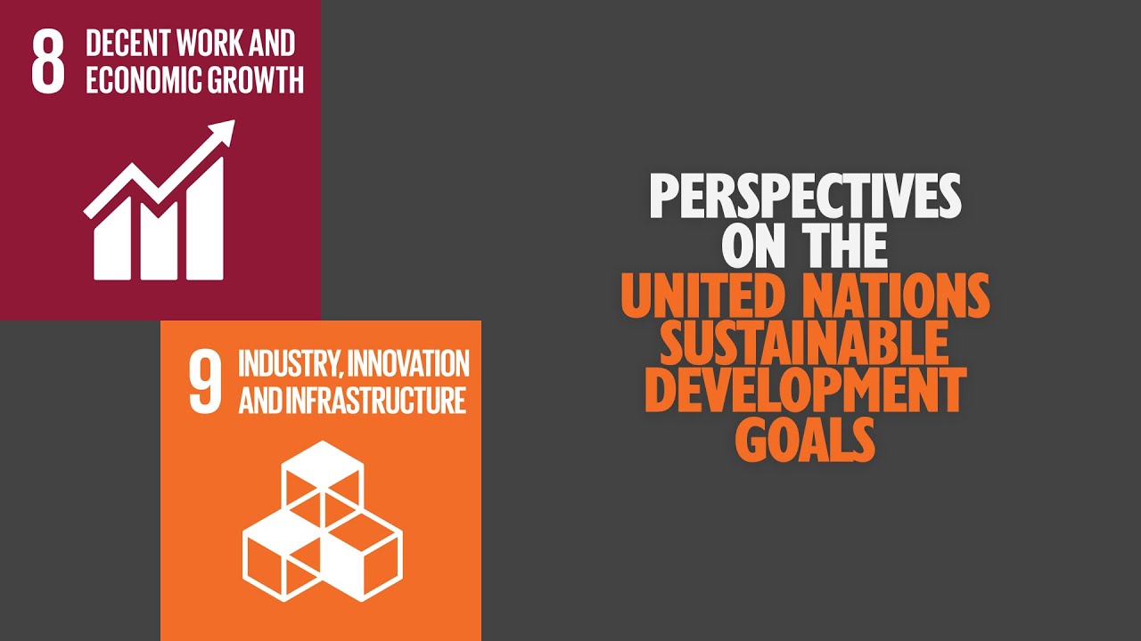 Perspectives on the United Nations Sustainable Development Goals: SDGs ...