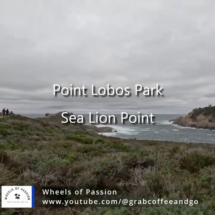 Discover the Wonders of Point Lobos State Park - Sea Lion Point Trail ...