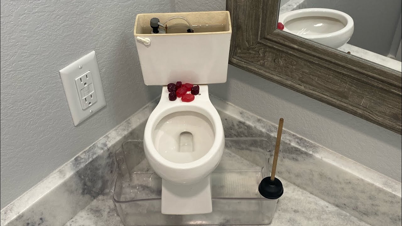 BMG Miniature Toilet Flushing Gummies! - YouTube