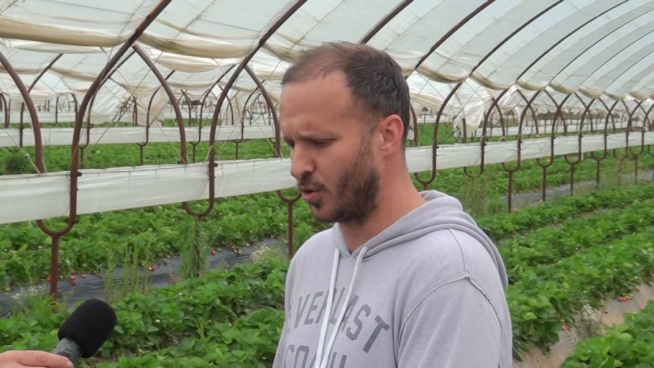 ΔΕΙΤΕ ΑΠΟΨΕ: Η ΚΑΛΛΙΕΡΓΕΙΑ ΦΡΑΟΥΛΑΣ ΣΤΗΝ ΠΕΛΟΠΟΝΝΗΣΟ 7 6 2016 - YouTube