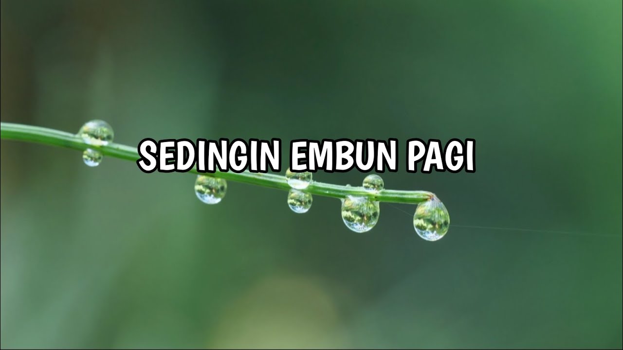 Sedingin Embun Pagi | Lirik Lagu | - YouTube