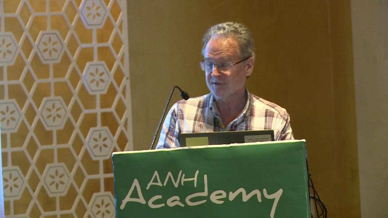 Hugo De Groote - ANH Academy Week 2019 - YouTube