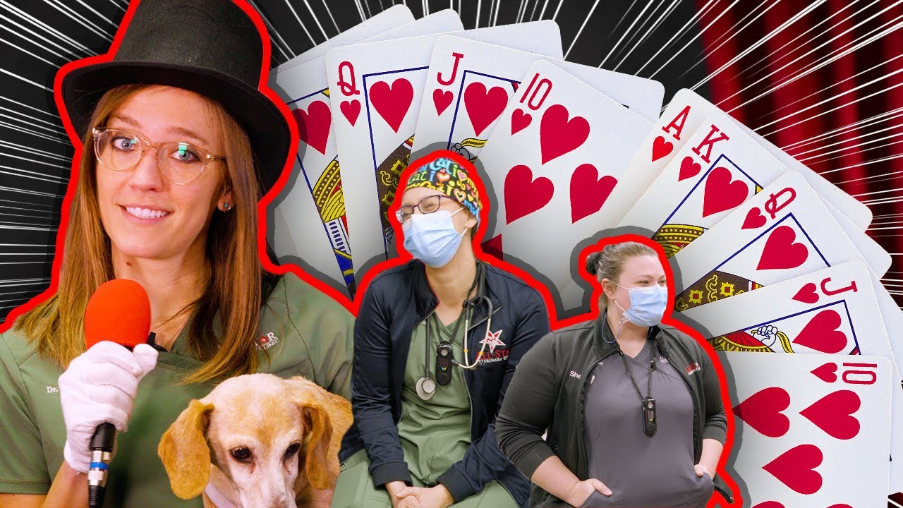 Can You Teach An Old Dog New Tricks Mythbusters