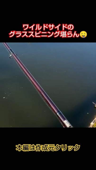 ワイルドサイドのグラススピニングWSS‐G62L最高やないか😎福岡バス釣りトニー #ロッド #ワイルドサイド #レジットデザイン #福岡バス釣り #バス釣り #筑後クリーク - YouTube
