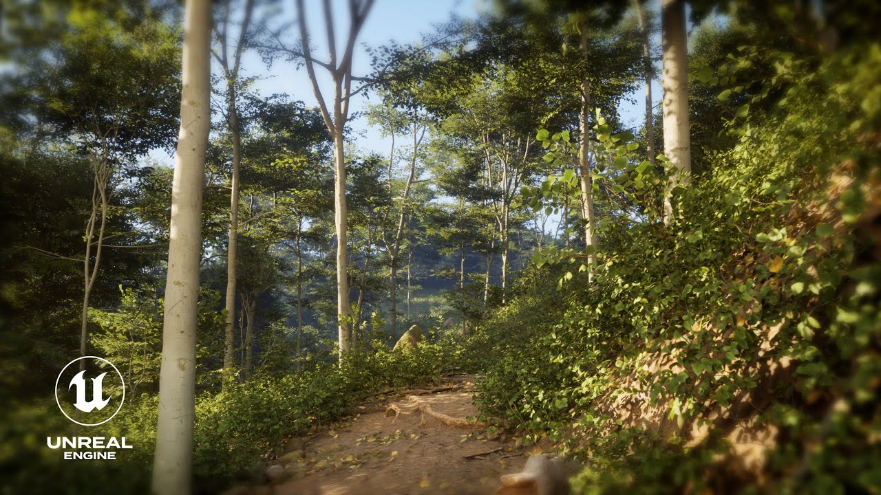 Cinematic Forest Scene | Unreal Engine 5 [4K] - YouTube