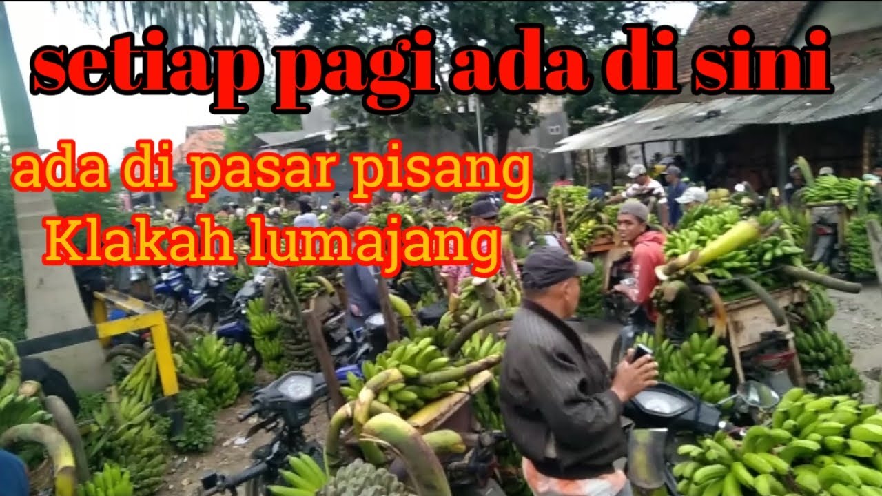 Setiap pagi ada di sini ada di pasar pisang Klakah lumajang - YouTube