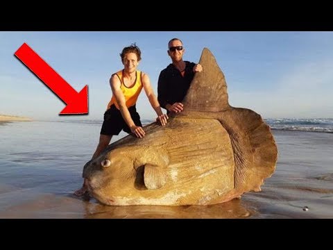 7 CRAZIEST Things to Wash up on Beaches!! - YouTube