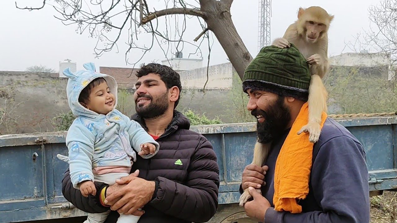 Monkey Rescue, Monkey Rani se Dosti ho gai #monkey #rescue - YouTube