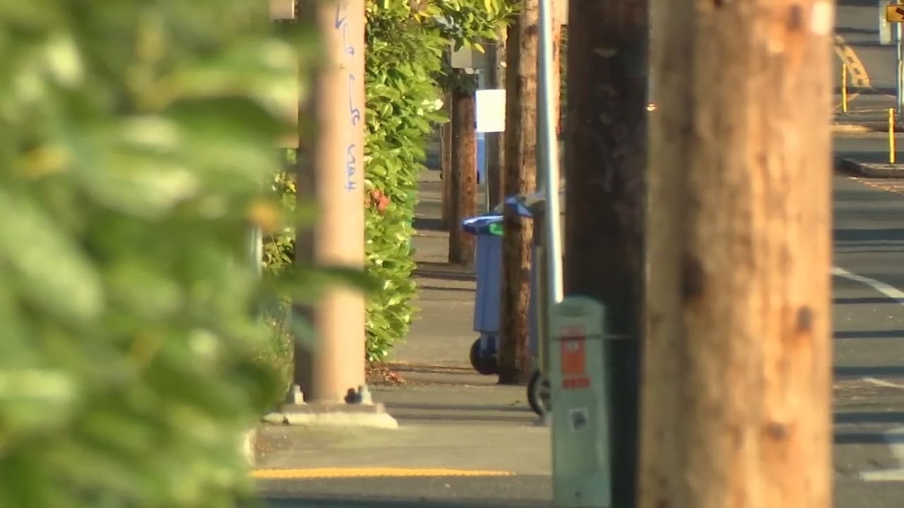 Police investigating report of possible attempted abduction involving ...