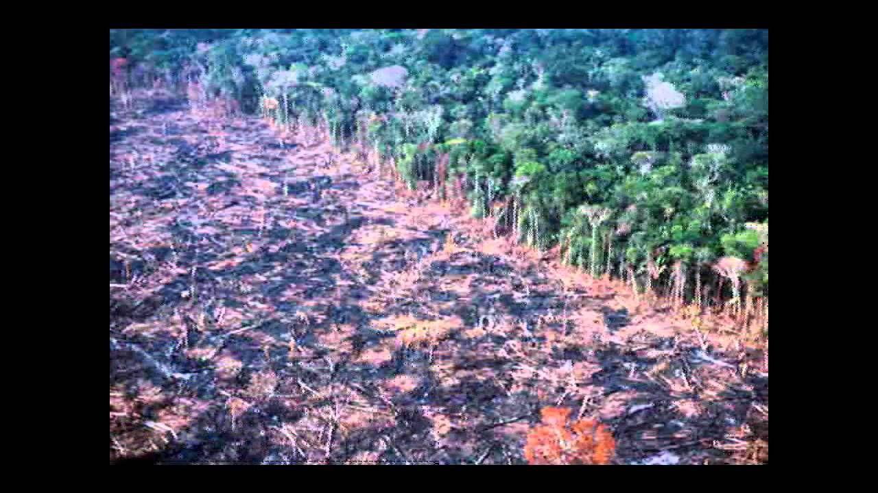 Videos De Polui o Atmosferica YouTube videos-de-polui-o-atmosferica-youtube