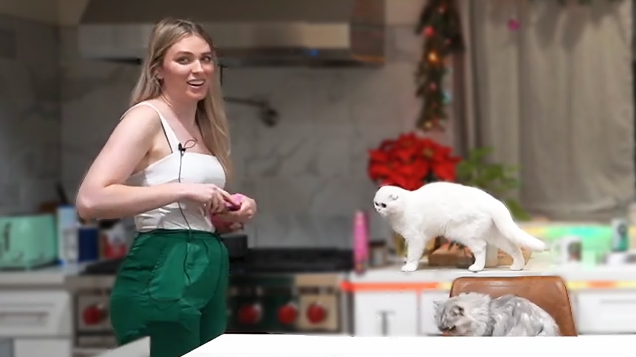 Coots tries to be sneaky... - YouTube