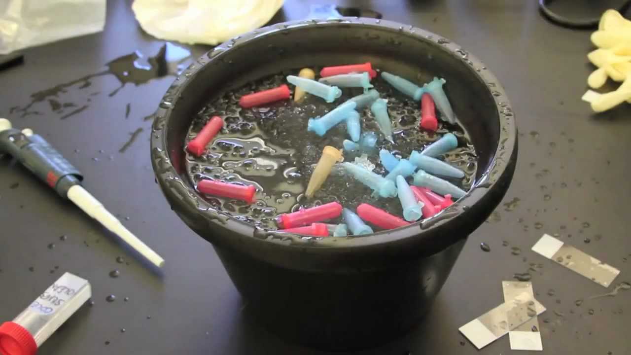 CoolRack - BIOCISION - YouTube