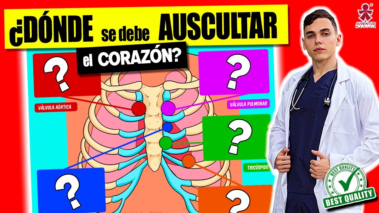 FOCOS de AUSCULTACIÓN CARDÍACA - YouTube