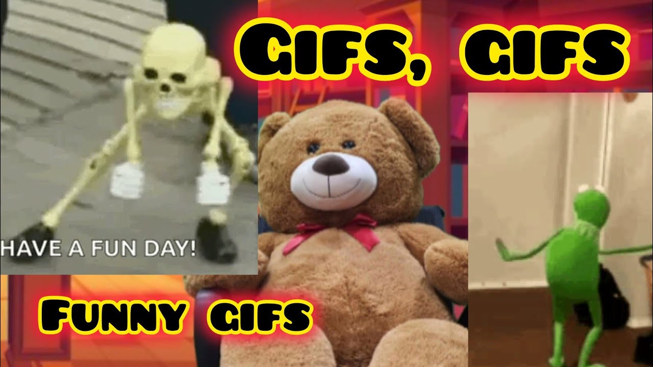 Gifs Galore! Fun Funny Gifs! #fun #video #funny - YouTube