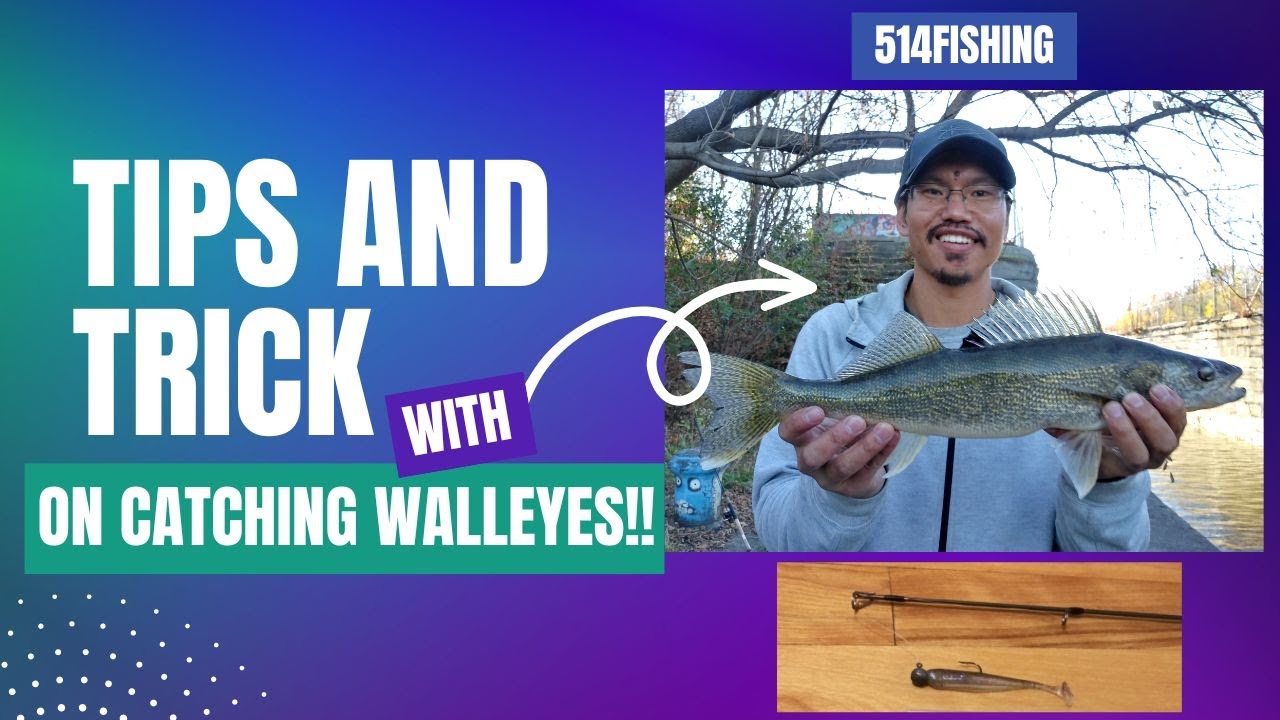 How to Catch Walleyes made Easy!! #montreal - YouTube