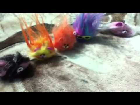 My Kachooz Collection - YouTube