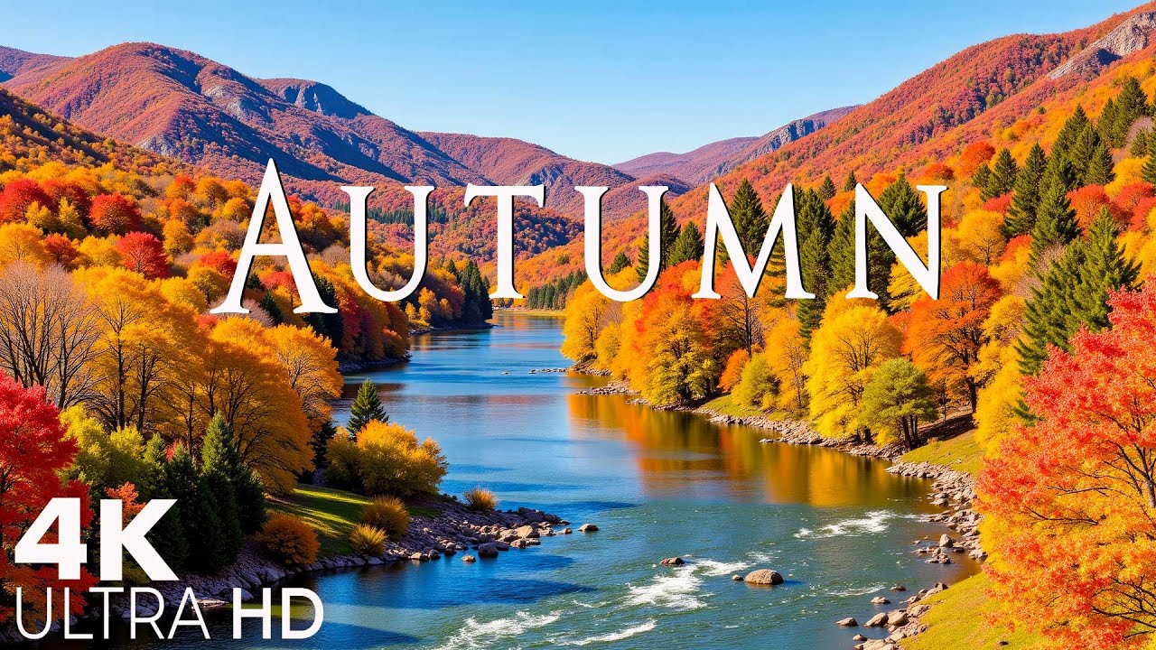Beautiful Relaxing Music, Peaceful Soothing Piano Music 🍁4K Autumn ...