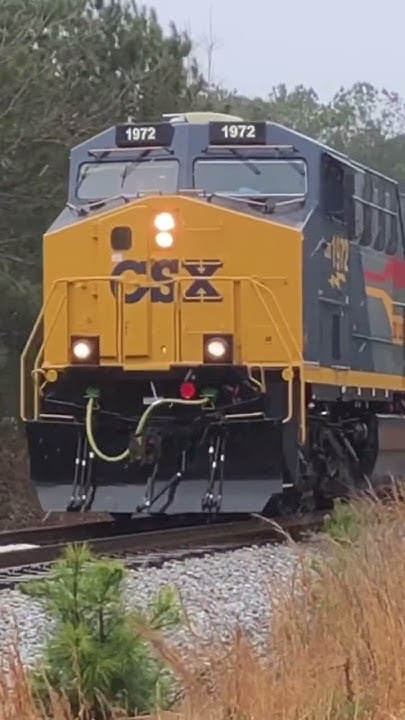 CSX 1972 Family Lines System Heritage Unit gives a horn salute in Peachtree City, Ga!! #railfan ...