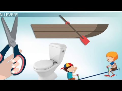 Movement and Levers Grade 6 - YouTube