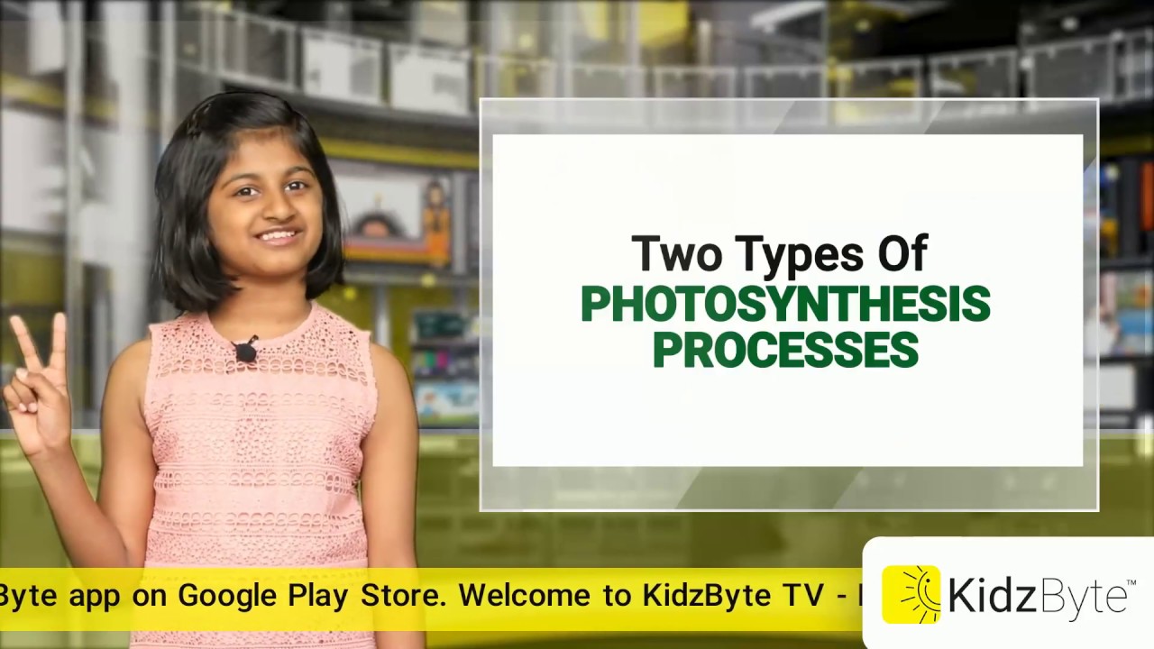 KidzByte TV Anchor Shriya Rathi presents the A-Z about Photosynthesis ...