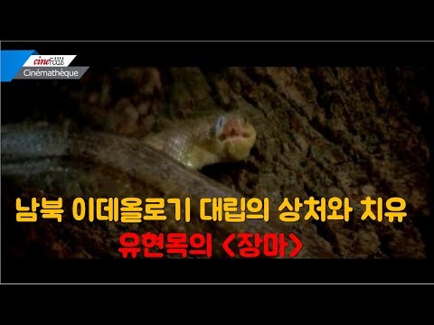 고전영화극장: 남북 이데올로기 대립의 상처와 치유 유현목의 [장마]