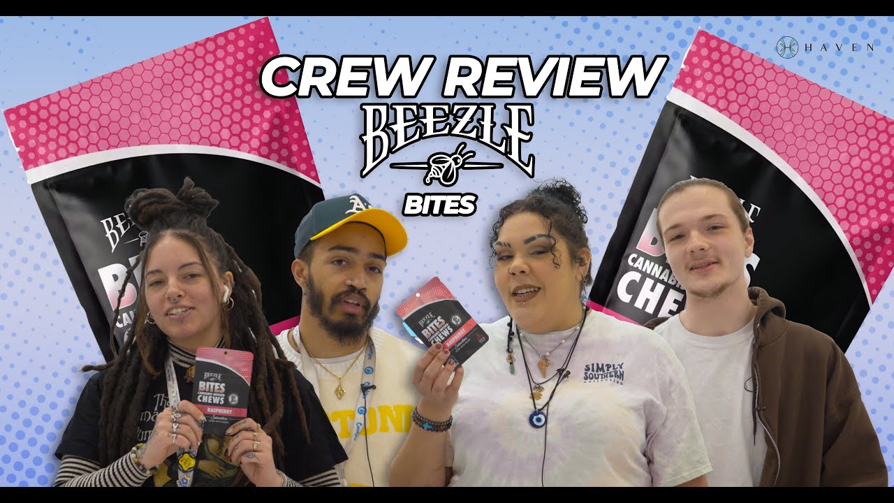 Beezle Bites - Crew Review - YouTube