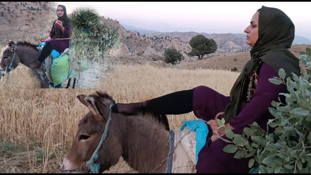 The beauty of movements and gestures of Khoresvari: showing the interesting art of nomadic women ...