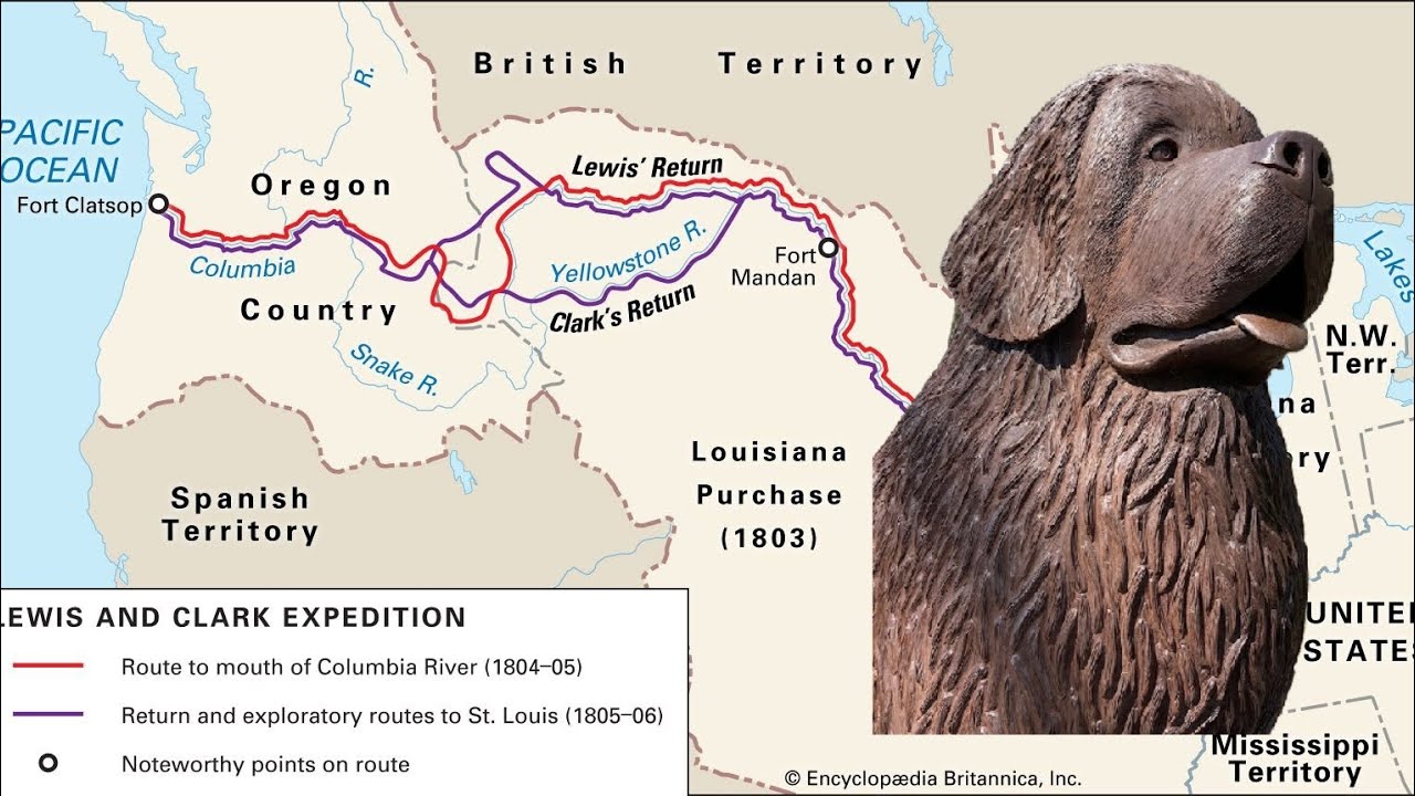 The Goodest Boy In All Of History, Seaman Of The Lewis And Clark ...