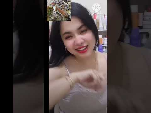 Waoo manja dan montok juga melorot Bh nya  sampai bugil Tante ini bikin  crot berkali kali 