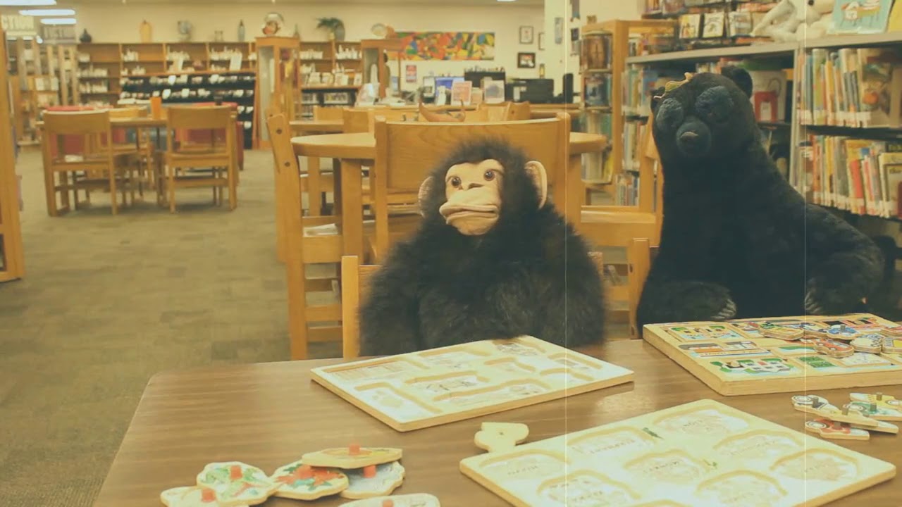 Library Behavior PSA - YouTube
