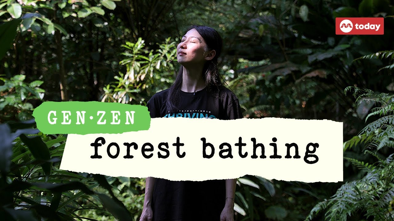Gen Zen: What is forest bathing and what does it do? - YouTube