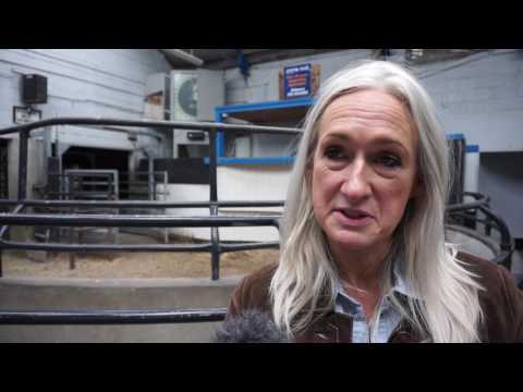 Ronan Kelly's Ireland:   mArtists in Athenry, Co  Galway
