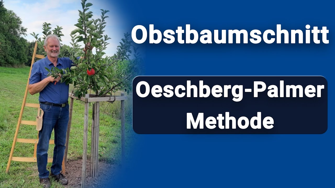 Obstbaumschnitt nach der Oeschberg-Palmer Methode [Anleitung] - YouTube