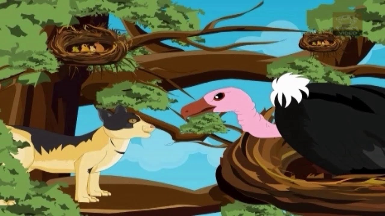 Jataka Tales - The Foolish Vulture - Birds Stories - Moral Stories for ...