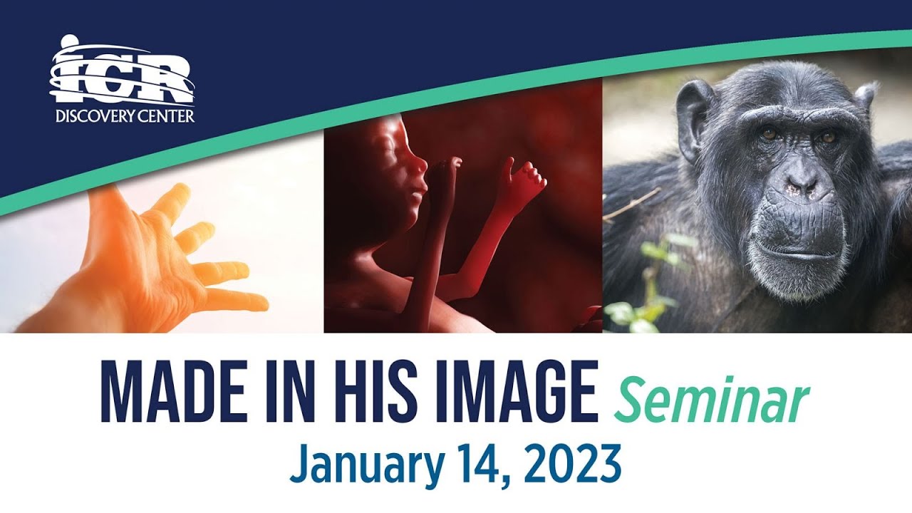 Made in His Image Seminar (2023) - YouTube