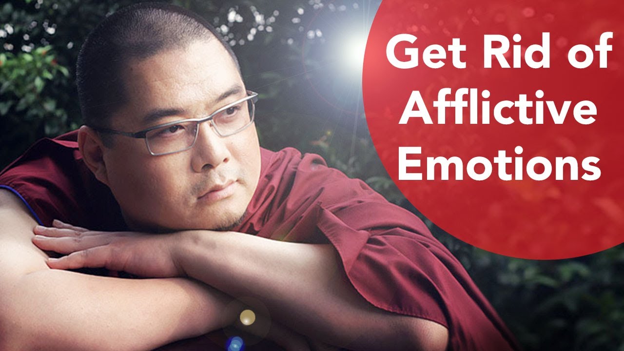 Getting Rid of Afflictive Emotions - YouTube