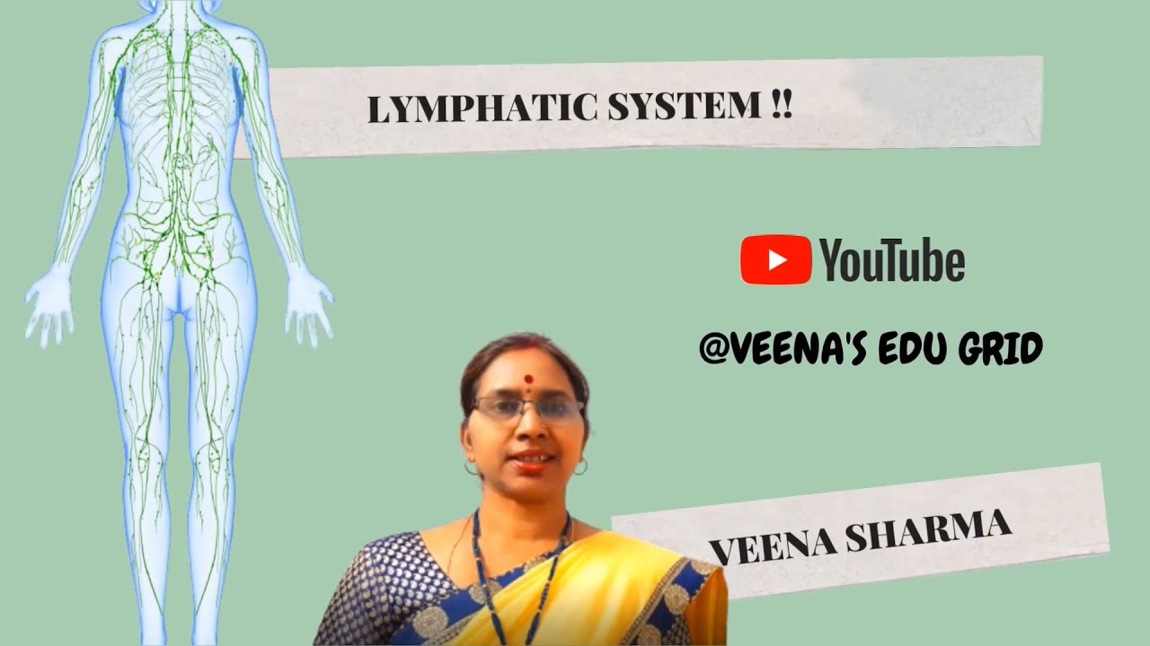 LYMPHATIC SYSTEM !! | SSC | BIOLOGY | CLASS 10 - YouTube